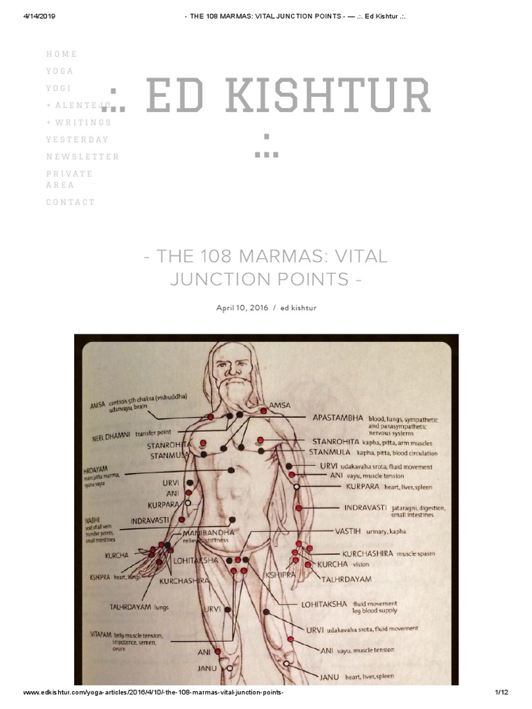 108 Marma Points: Vital Junctions Guide | PDF | Prana | Chakra
