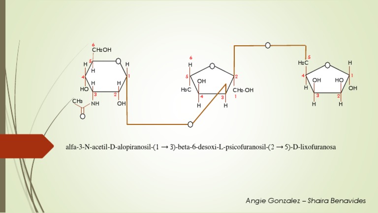 alfa-3-N-acetil-D-alopiranosil - (1 3) - Beta-6-Desoxi-L-Psicofuranosil ...