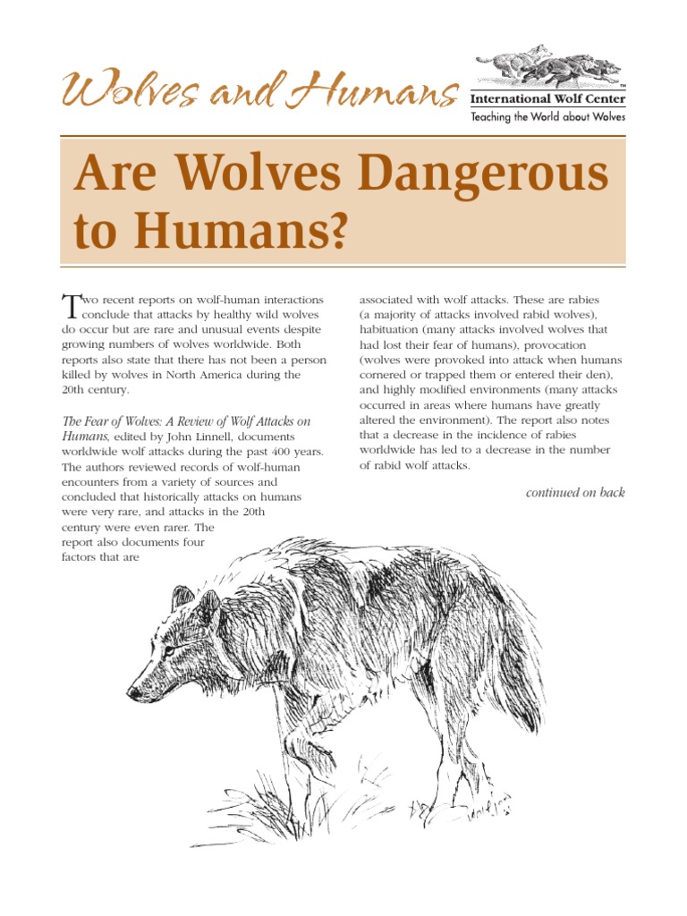 Are Wolves Dangerous To Humans | PDF | Wolves | Scavengers