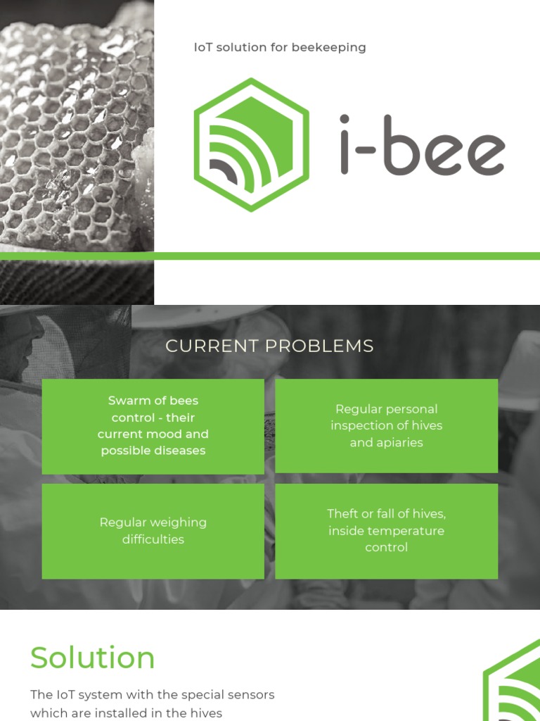 Iot Solution For Beekeeping | PDF | Internet Of Things | Beehive