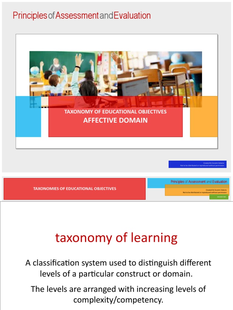 Affective | PDF | Affect (Psychology) | Attitude (Psychology)