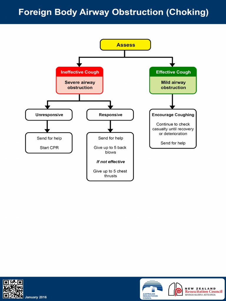 Anzcor Choking Flowchart | PDF