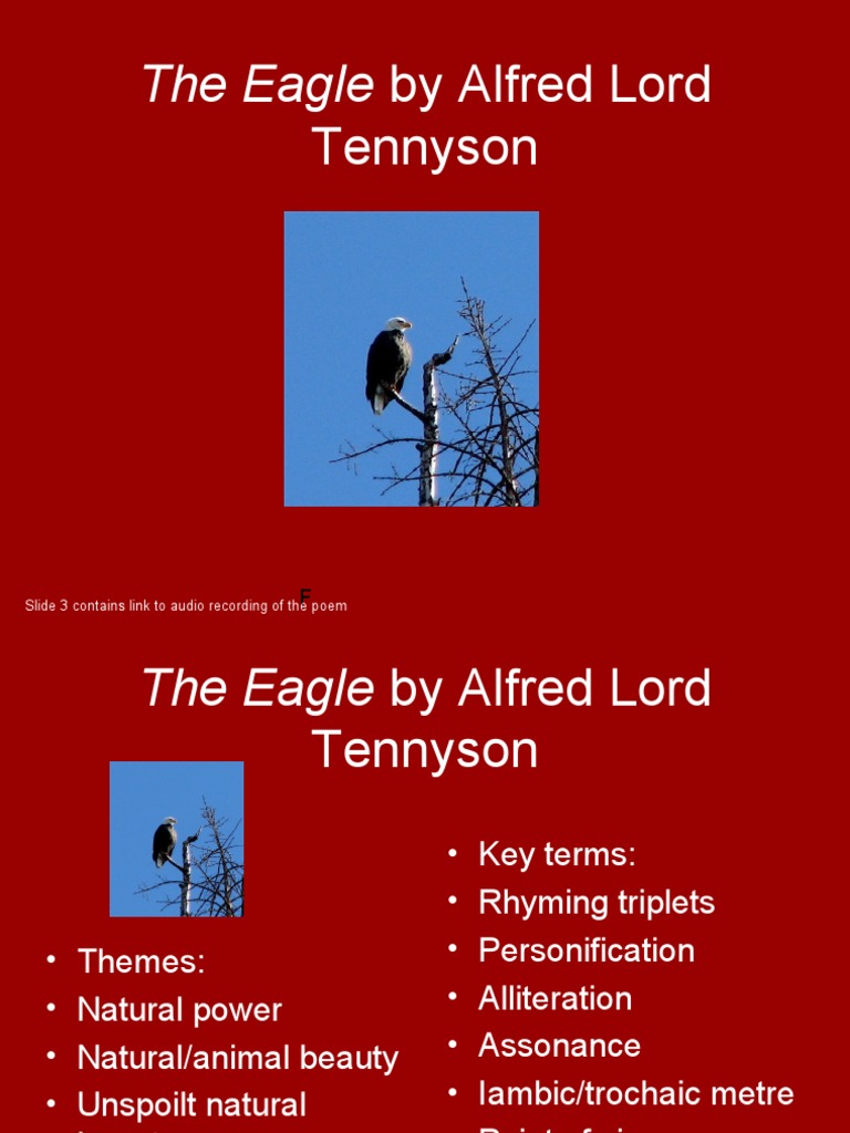 Eagle by Tennyson Analysis PDF | PDF | Poetic Form | Poetics