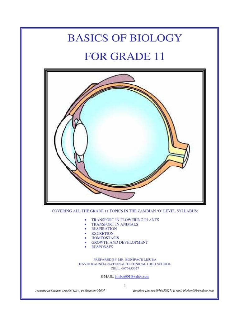 Grade 11 Biology: Homeostasis & Transport | PDF | Atrium (Heart ...