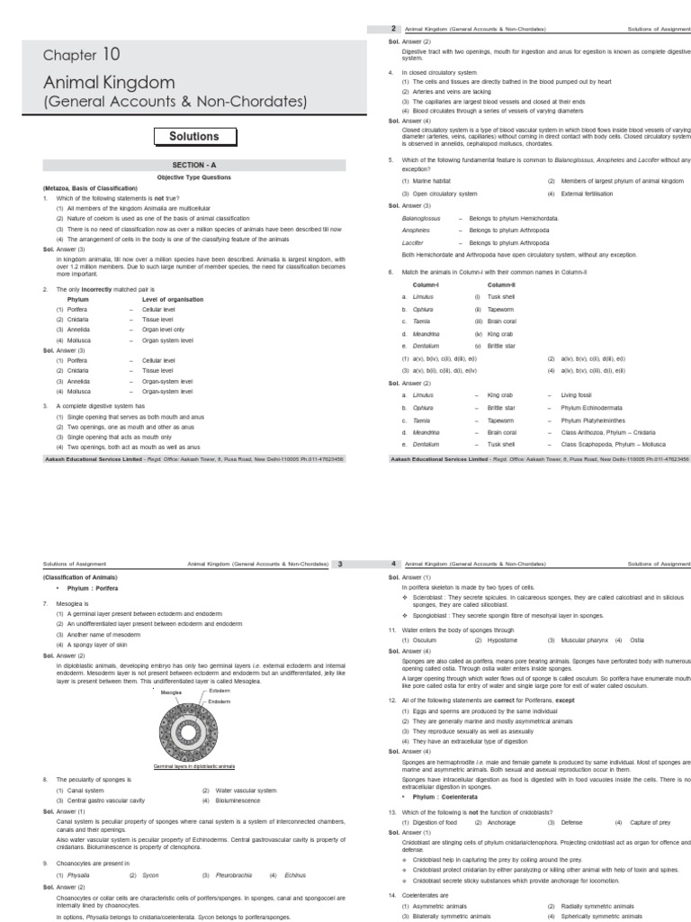 Animal Kingdom Classification Quiz | PDF | Sponge | Invertebrate