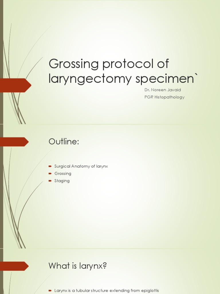 Laryngectomy Specimen Grossing Protocol | PDF | Larynx | Human Anatomy