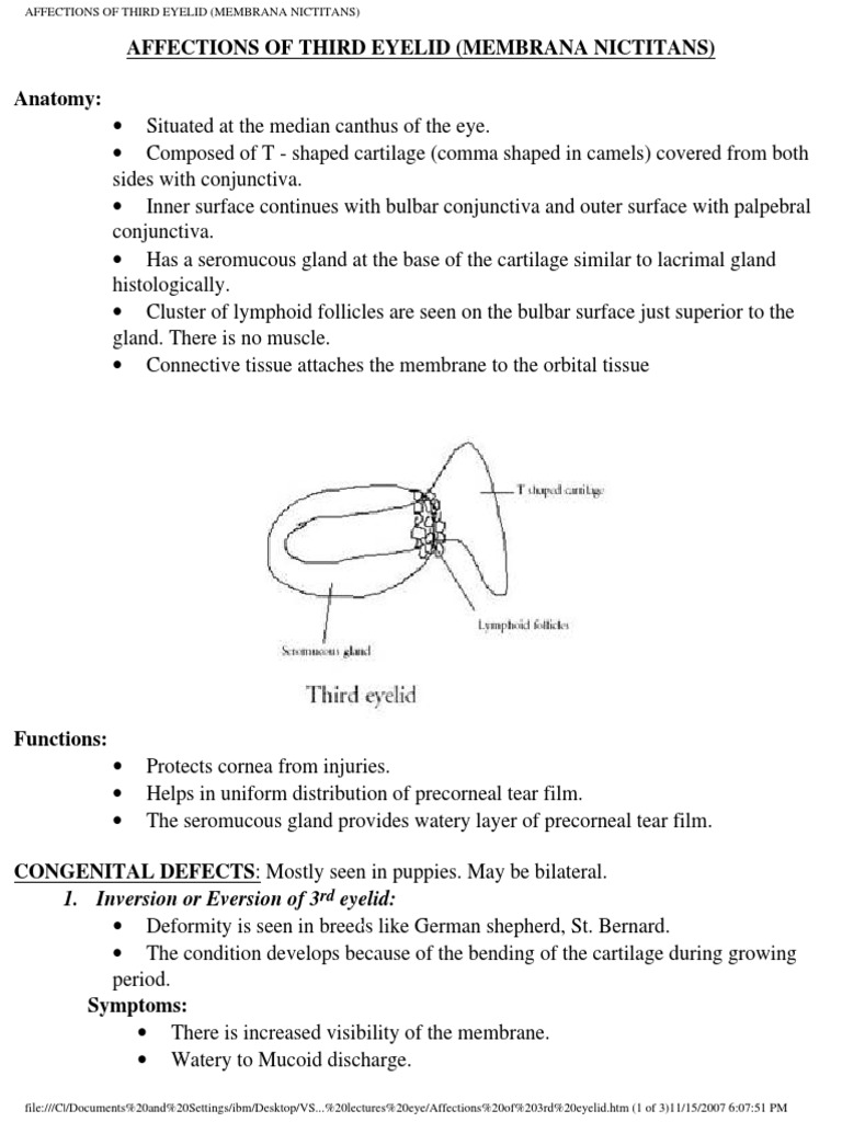 Affections of 3rd Eyelid | PDF | Clinical Medicine | Ophthalmology