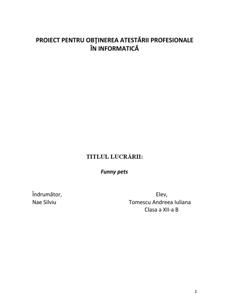 Documentatie - Proiect Atestat Informatica | PDF