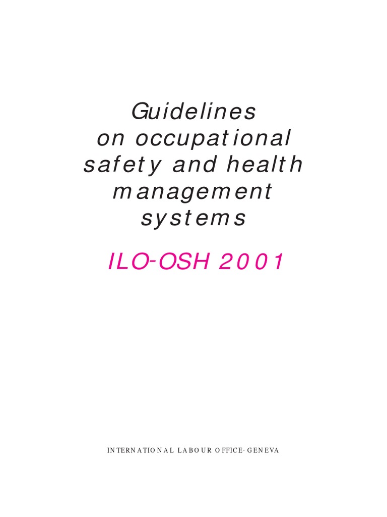 Ilo Osh 2001 | PDF | Occupational Safety And Health | Audit