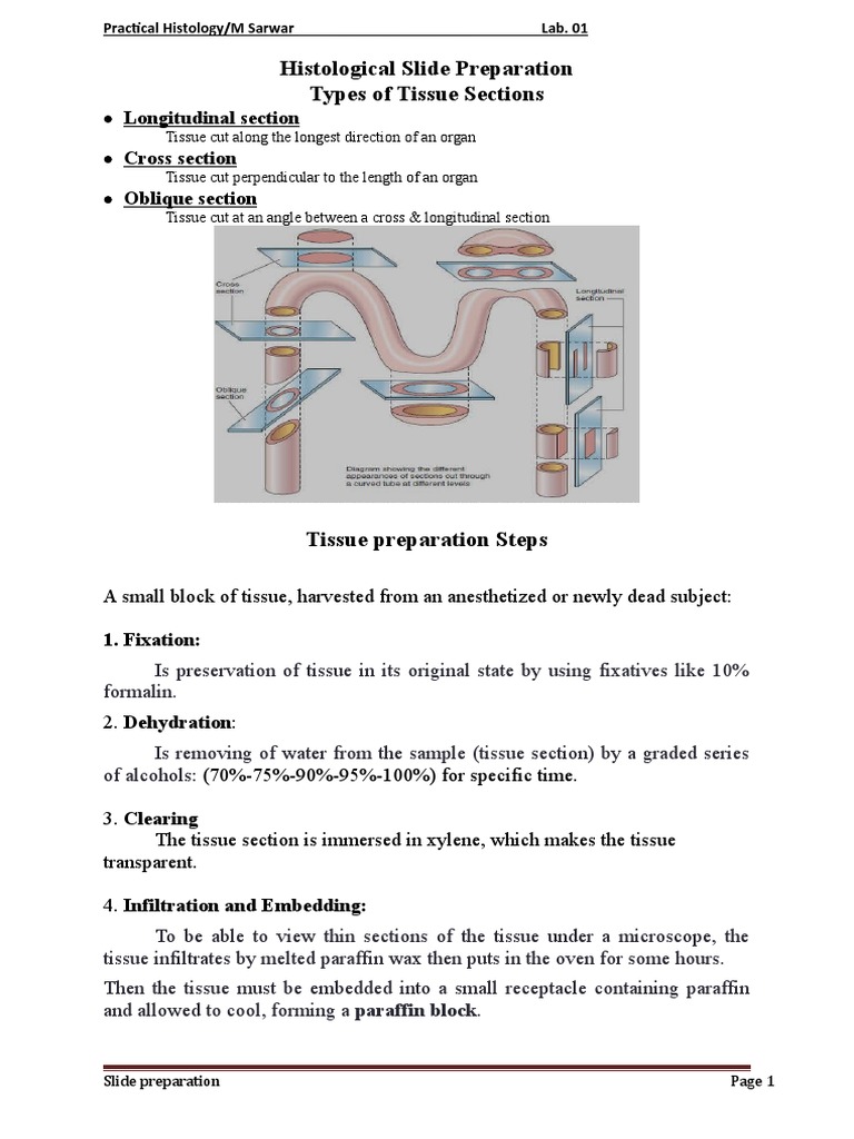 Histological Slide Preparation Steps | PDF | Home & Garden | Wellness