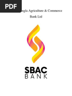 Kina Bank Business Account Application Form | PDF | Cheque | Banks