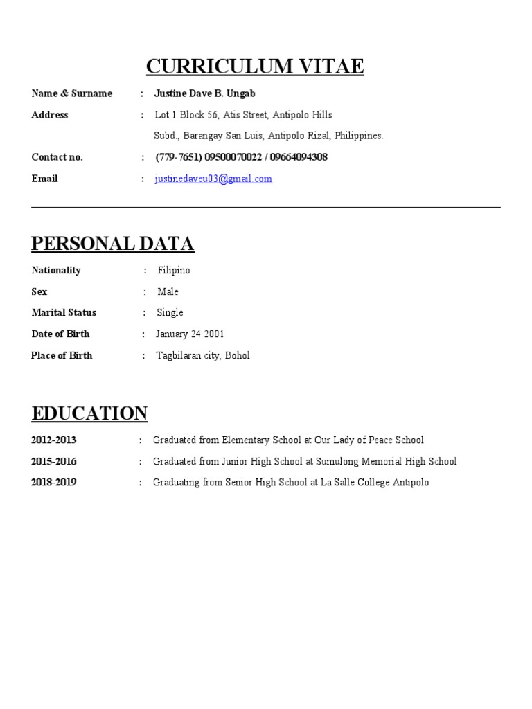 CURRICULUM VITAE Ni Justine | PDF