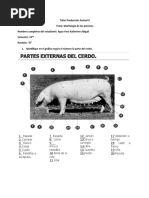 Guias de Puntuación Vacas Lecheras | PDF | Vacas | Zoología