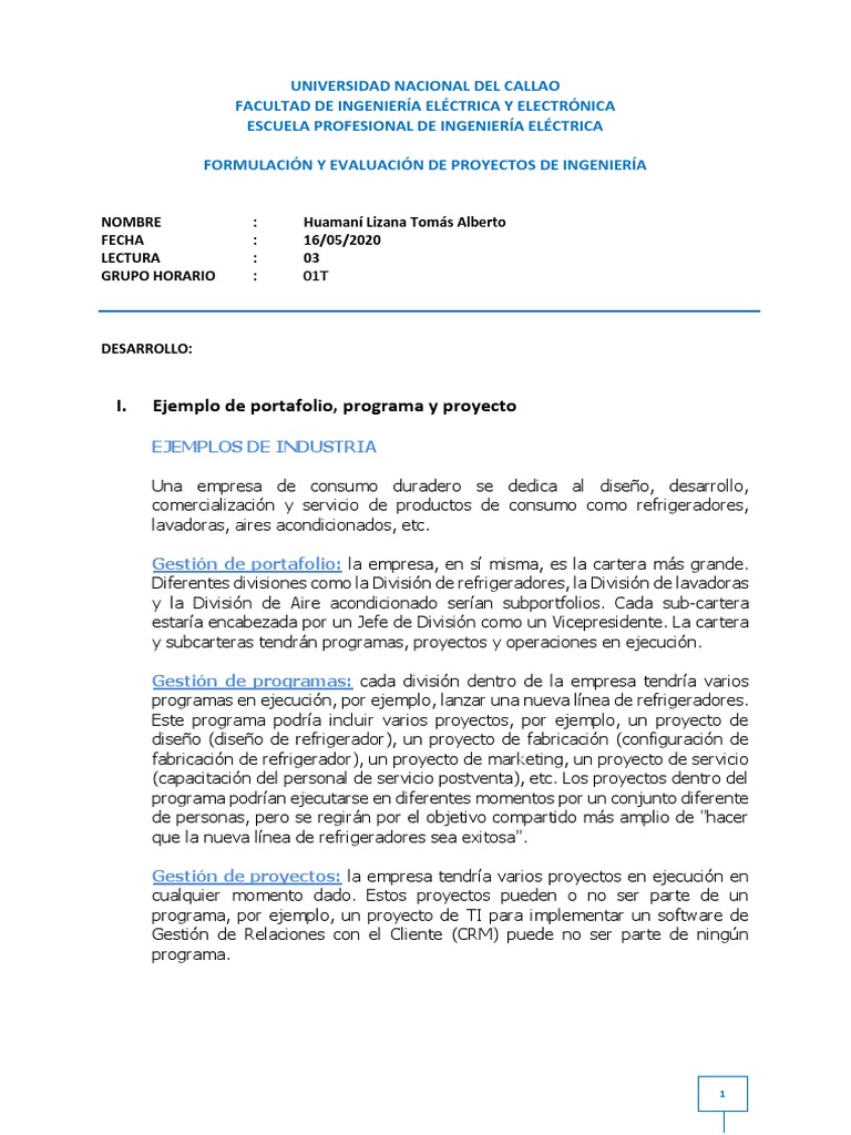 Ejemplo de Portafolio, Programa y Proyecto | PDF | Economias | Business