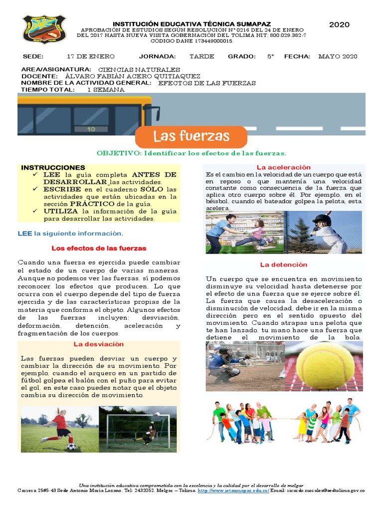 Efectos de Las Fuerzas GRADO 5 | PDF | Elasticidad (Física) | Fuerza