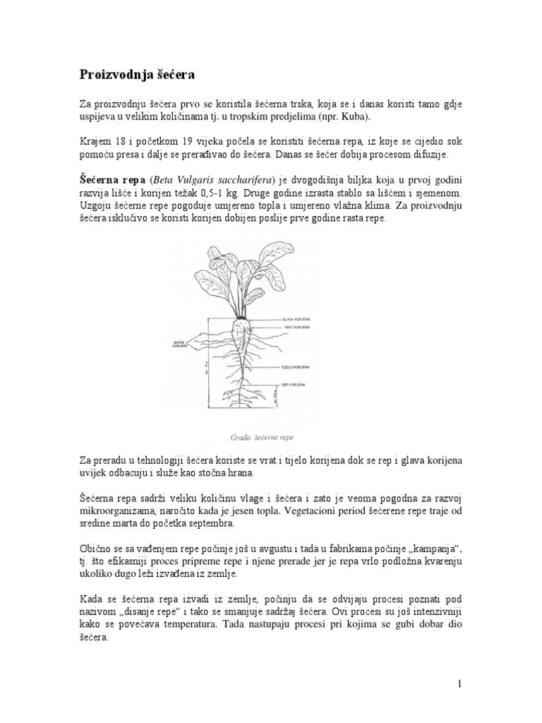 Tehnologija Proizvodnje Secera | PDF