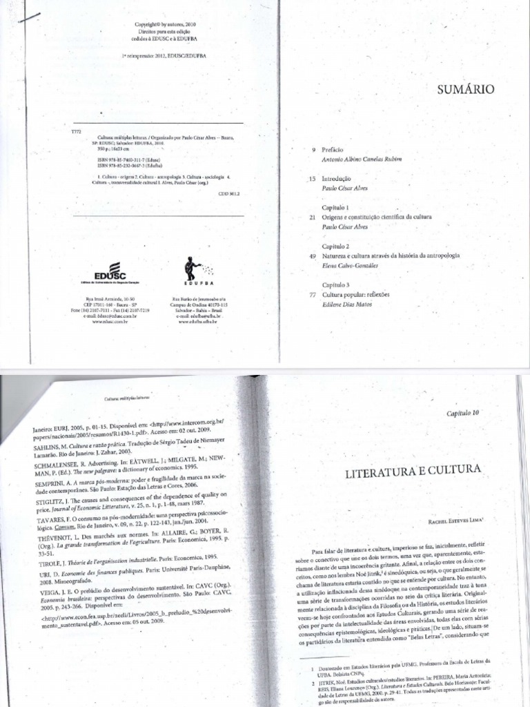 Texto 2 - Rachel Esteves | PDF