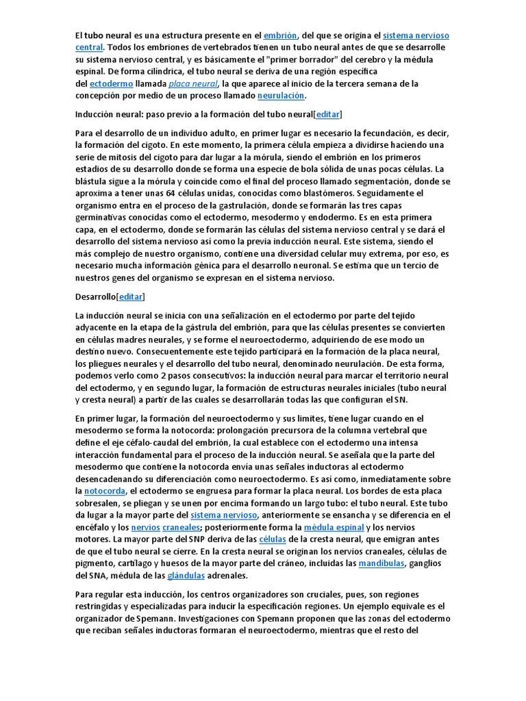 Formación del tubo neural y desarrollo inicial del sistema nervioso ...