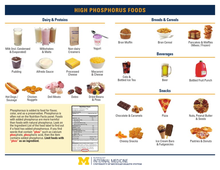 High Phosphorus Foods: Dairy & Proteins Breads & Cereals | PDF ...