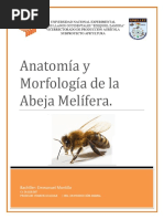 Anatomía y Fisiología de La Abeja | PDF | Ojo | Abejas