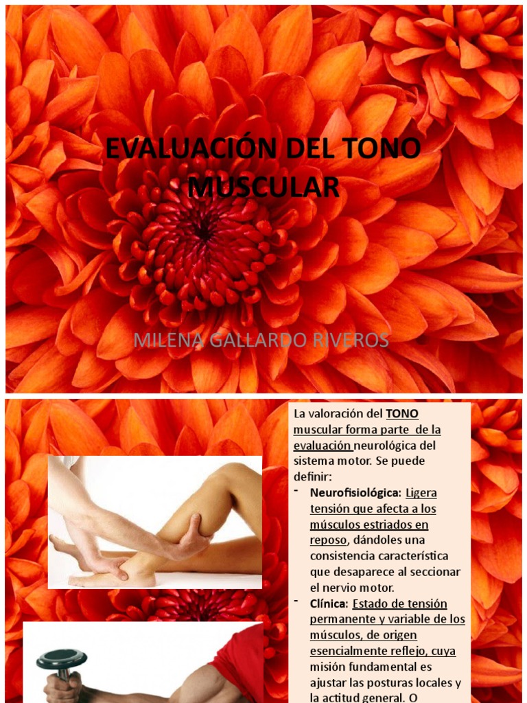 Evaluación del Tono Muscular en Niños | PDF | Codo | Músculo
