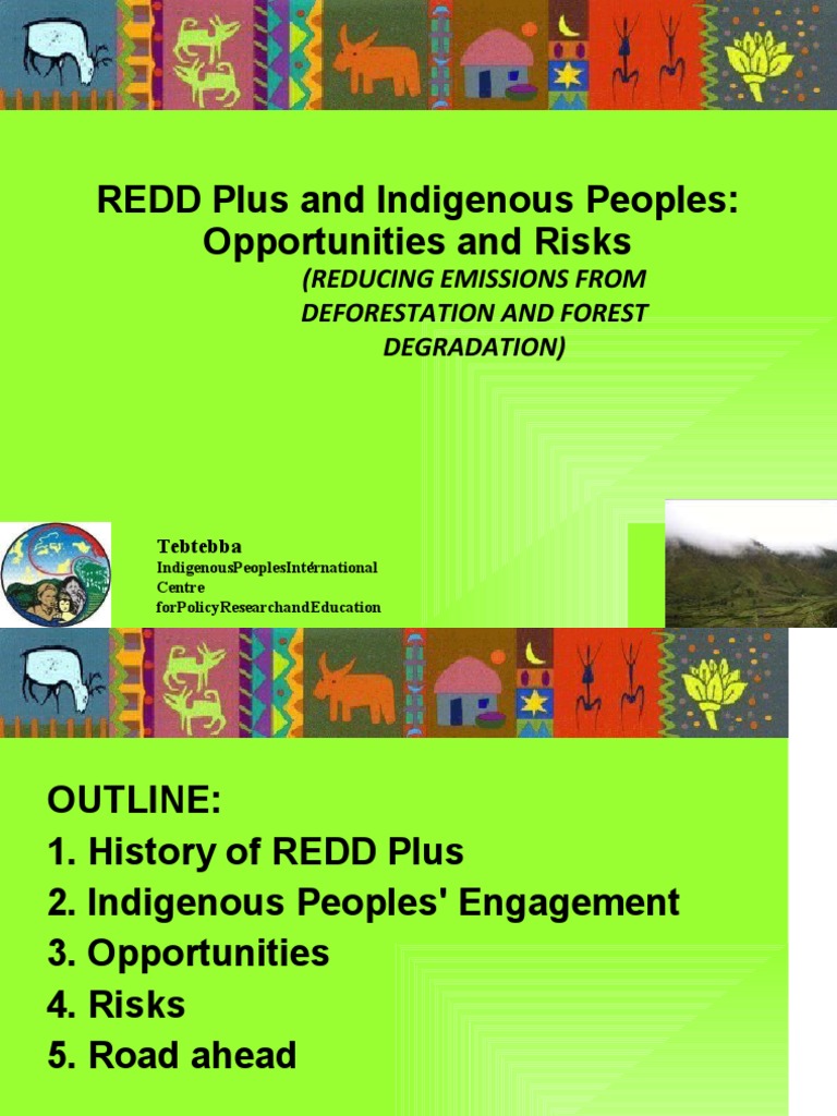 REDD Plus and Indigenous Peoples: Opportunities and Risks | PDF ...