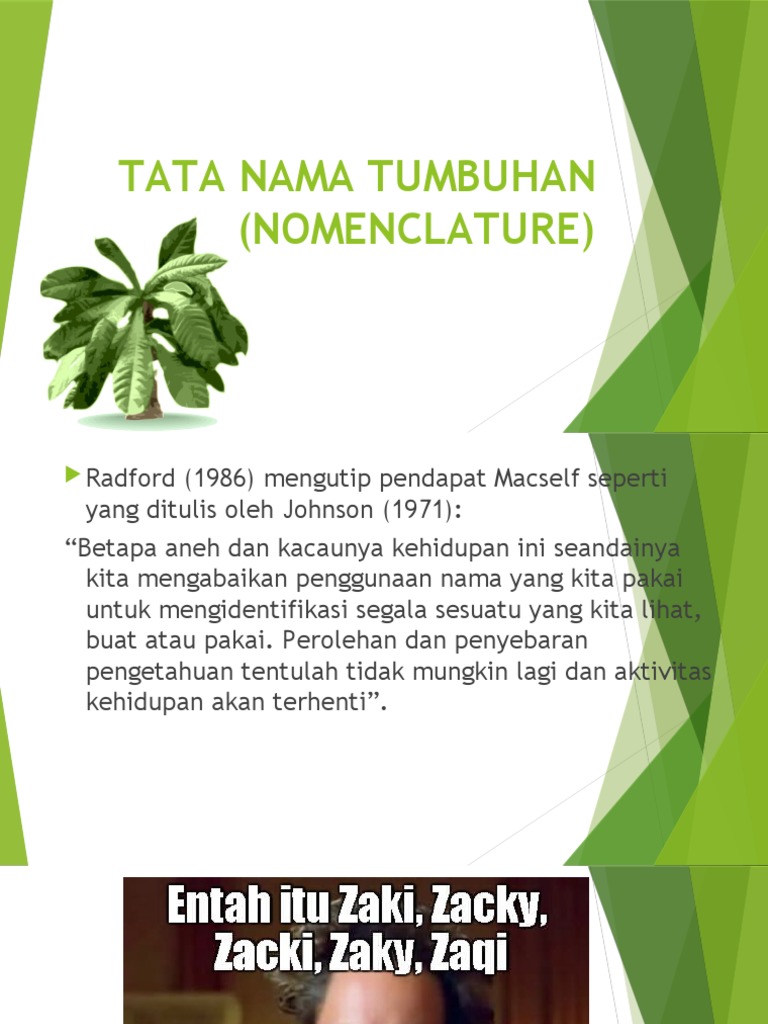 Tata Nama Tanaman Dan Simplisia | PDF