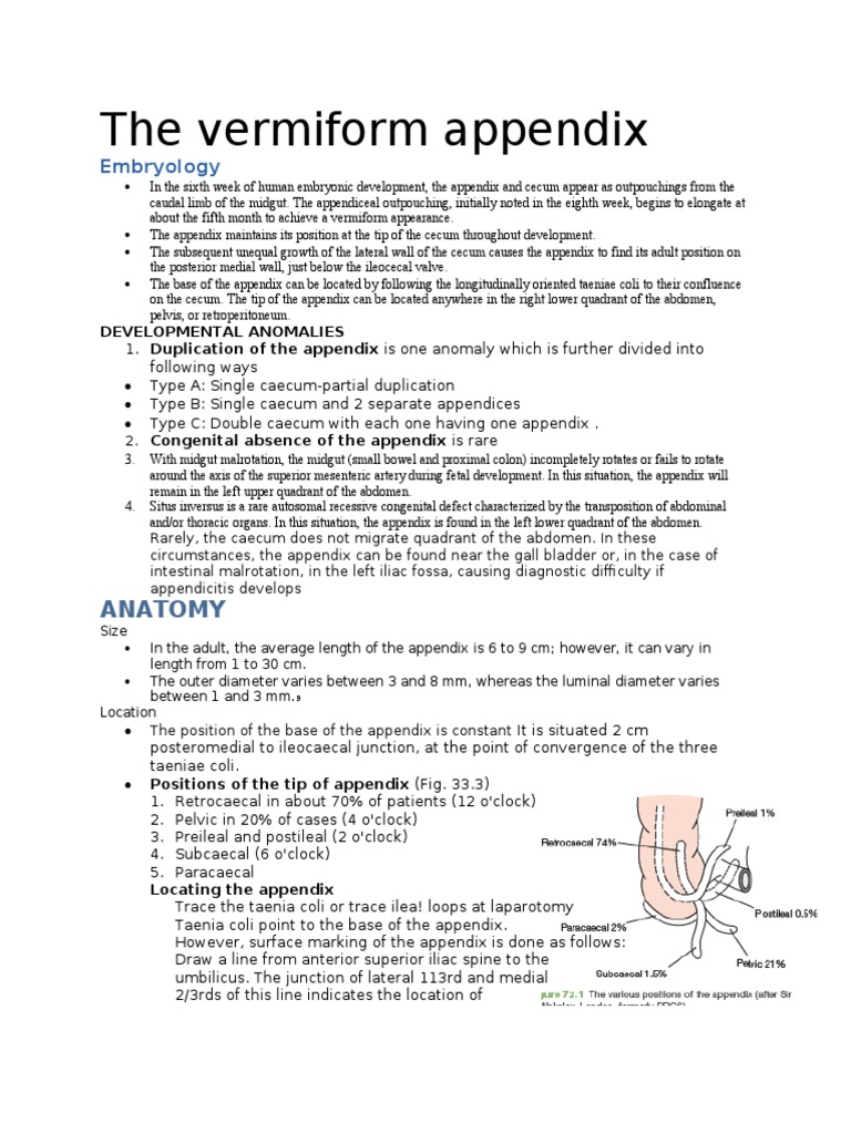 The Vermiform Appendix: Anatomy | PDF | Abdomen | Lymphatic System