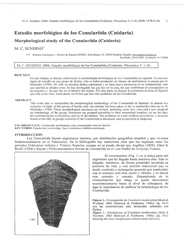 Terminología Morfológica de Conulariida | PDF | Naturaleza