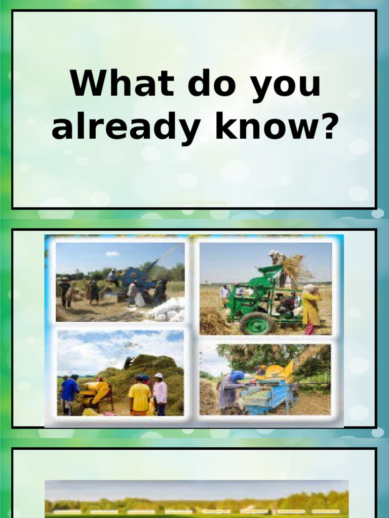 What Do You Already Know? | PDF