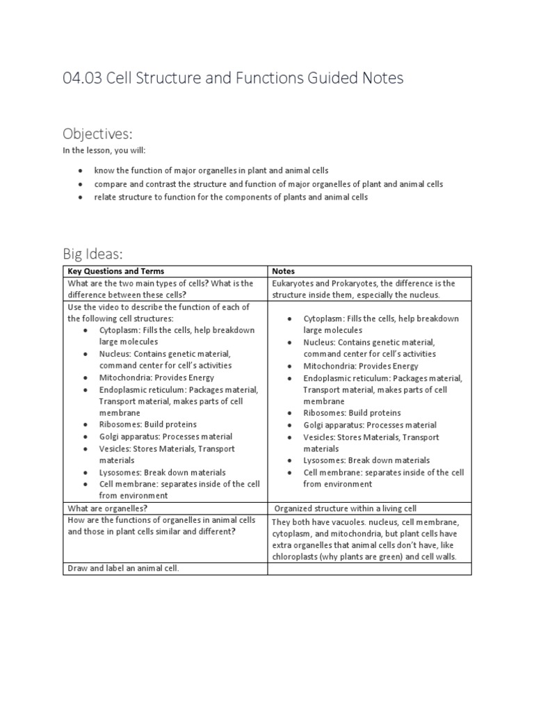 Cell Structure and Functions Notes | PDF | Cytoplasm | Cell (Biology)