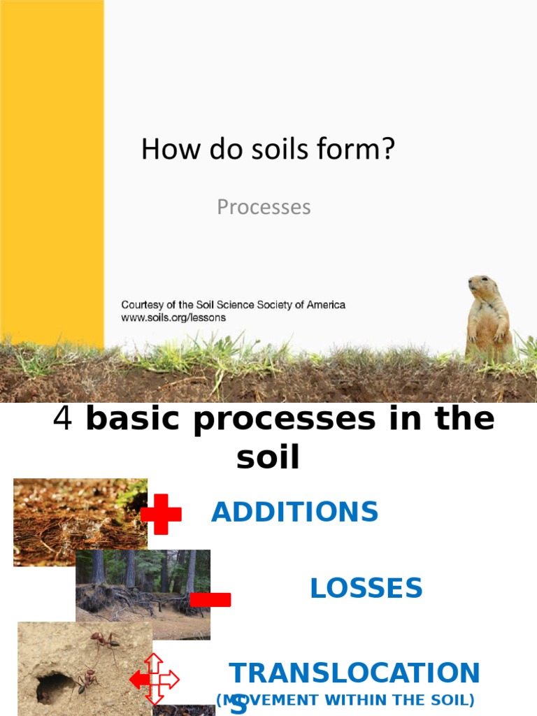 How Do Soils Form?: Processes | PDF | Social Science | Science ...