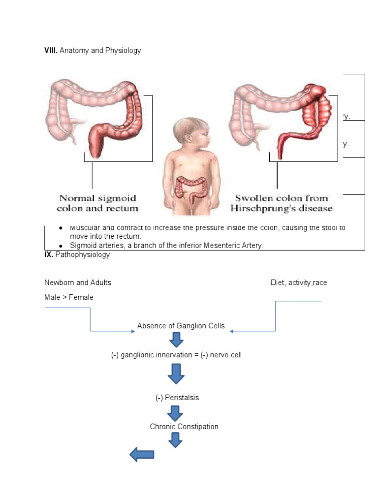 Anatomy and Pathophysiology of the Colon | PDF | Self-Improvement ...