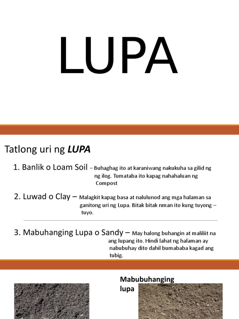 LUPA | PDF