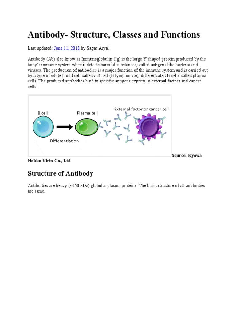 Antibody-Structure, Classes and Functions | PDF | Antibody | Molecular ...