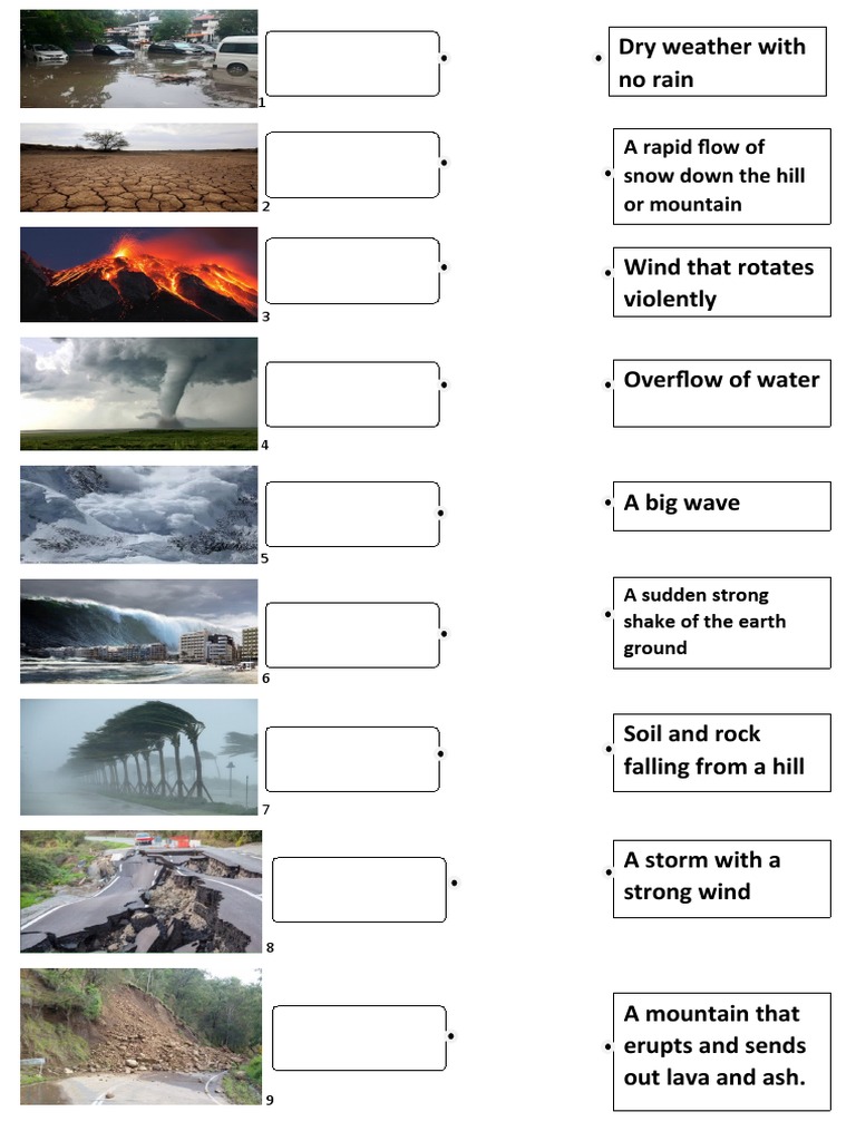 Natural Disasters Worksheet for Kids | PDF