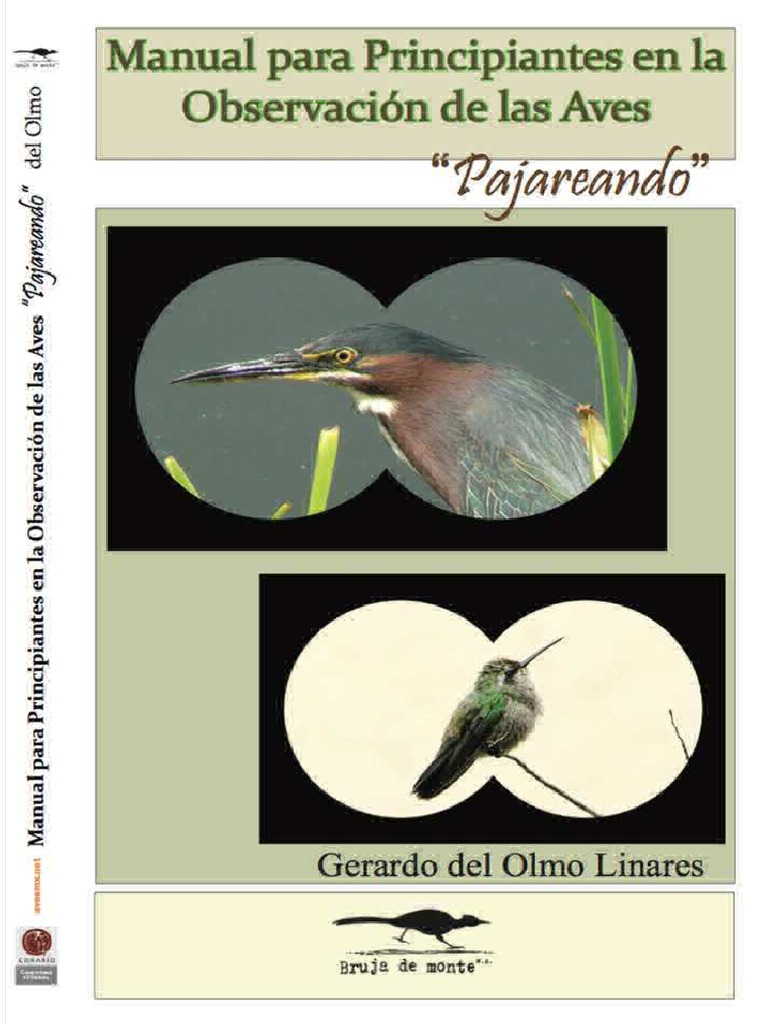 Guia De Aves Pdf