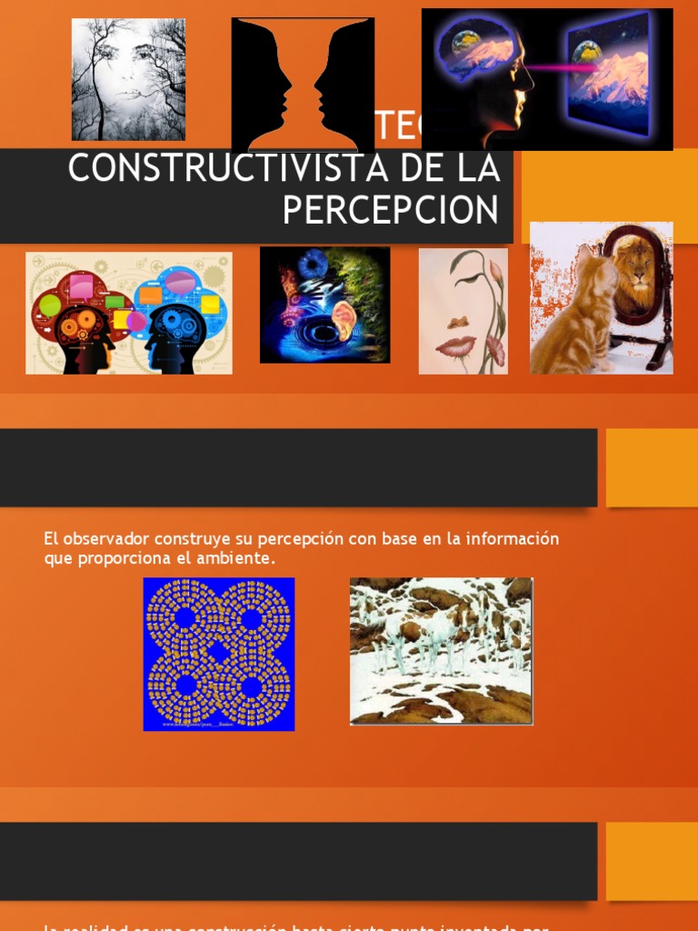 Teoria Constructivista de La Percepcion | PDF