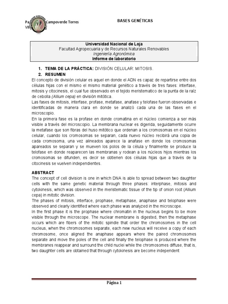 Paul Campoverde - Informe de Laboratorio - Division Celular en La Cebolla. | PDF | Mitosis ...