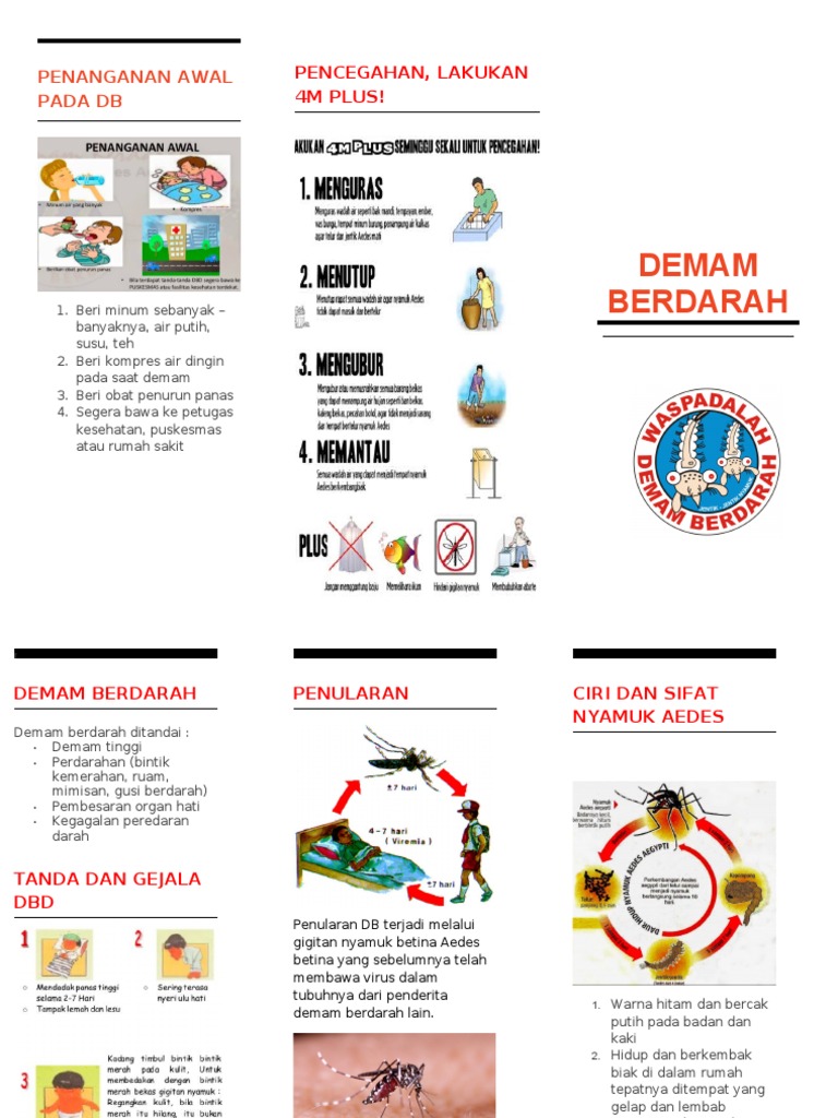 Leaflet Demam Berdarah | PDF