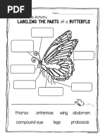 Parts of A Caterpillar | PDF