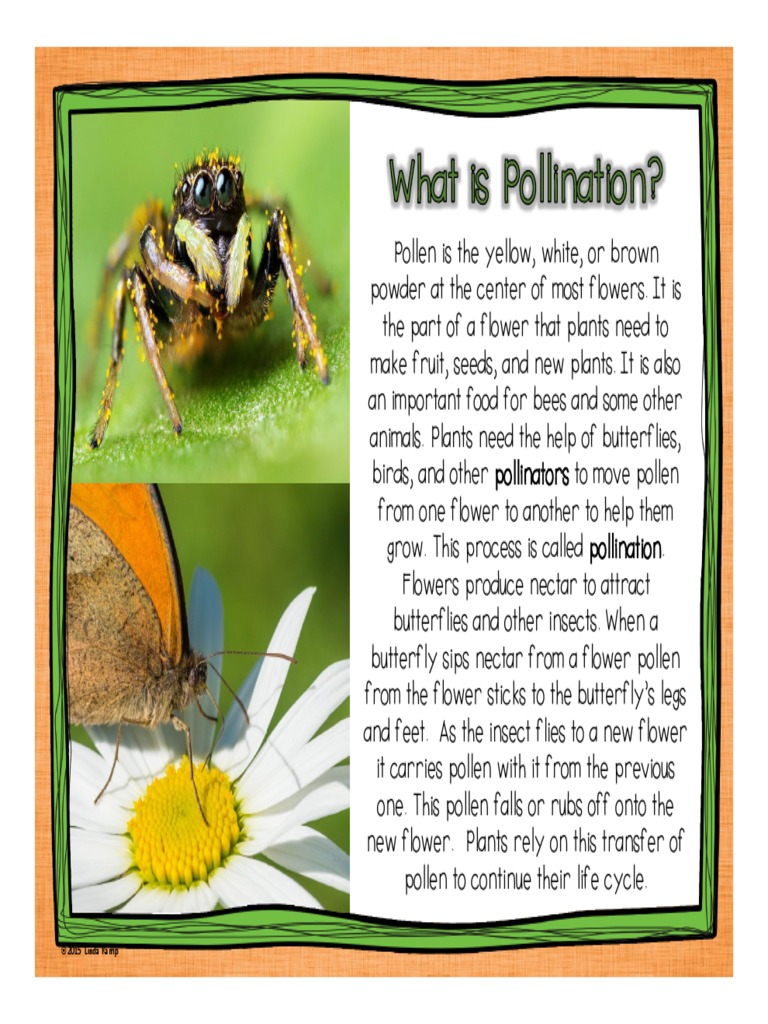 Pollen | PDF