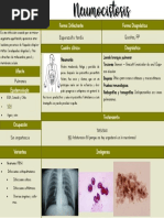 GPC CELULITIS - P | PDF | Staphylococcus Aureus | Especialidades Medicas