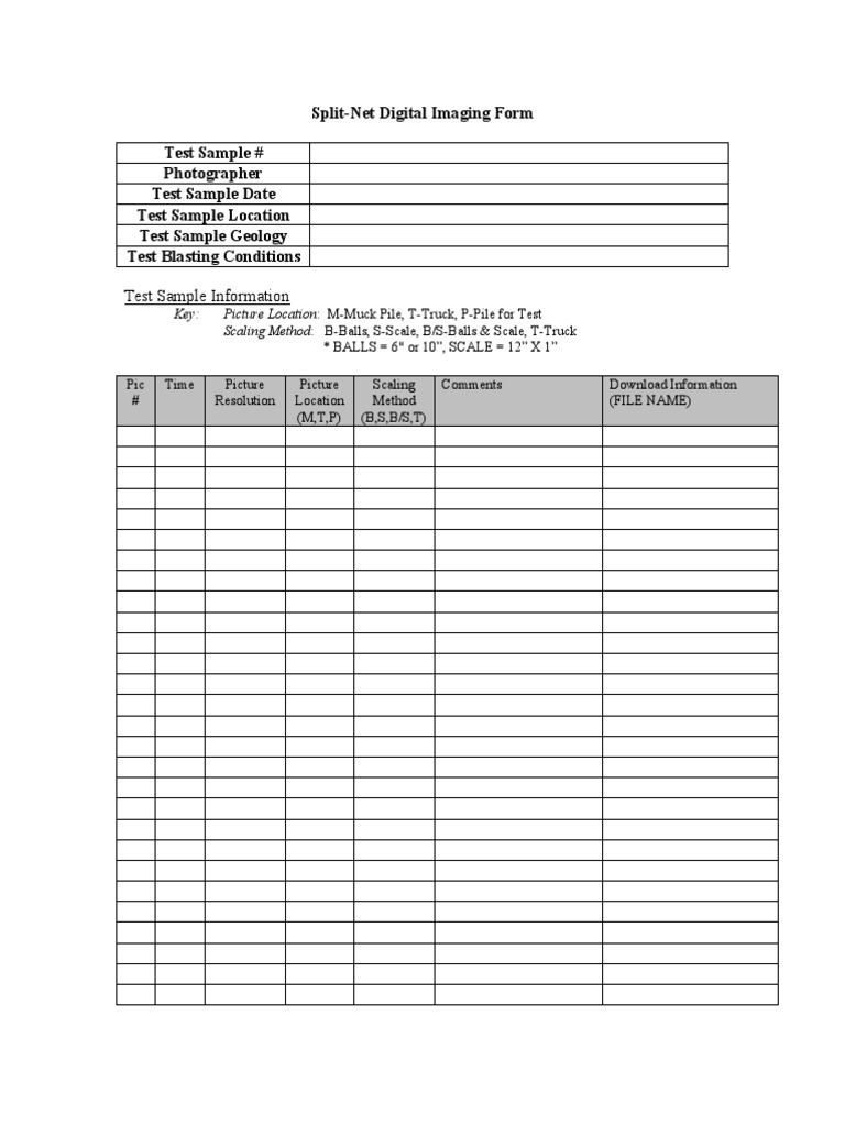 Split-Net Digital Imaging Form Guide | PDF | Teaching Methods & Materials