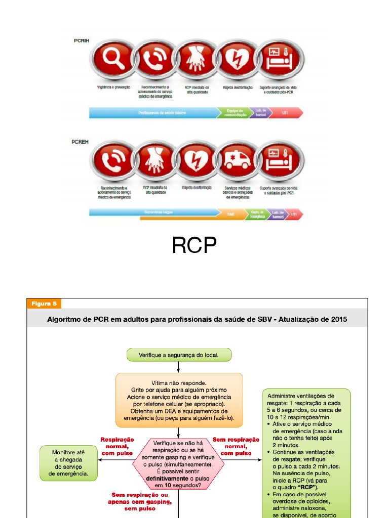 RCP | PDF