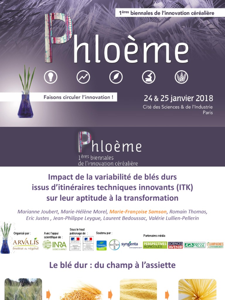 Vitrosité | PDF | Blé | Aliments de base