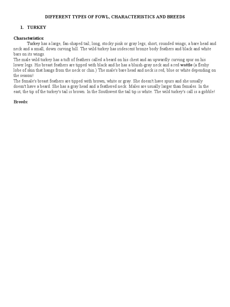 Turkey: Different Types of Fowl, Characteristics and Breeds 1. Turkey ...