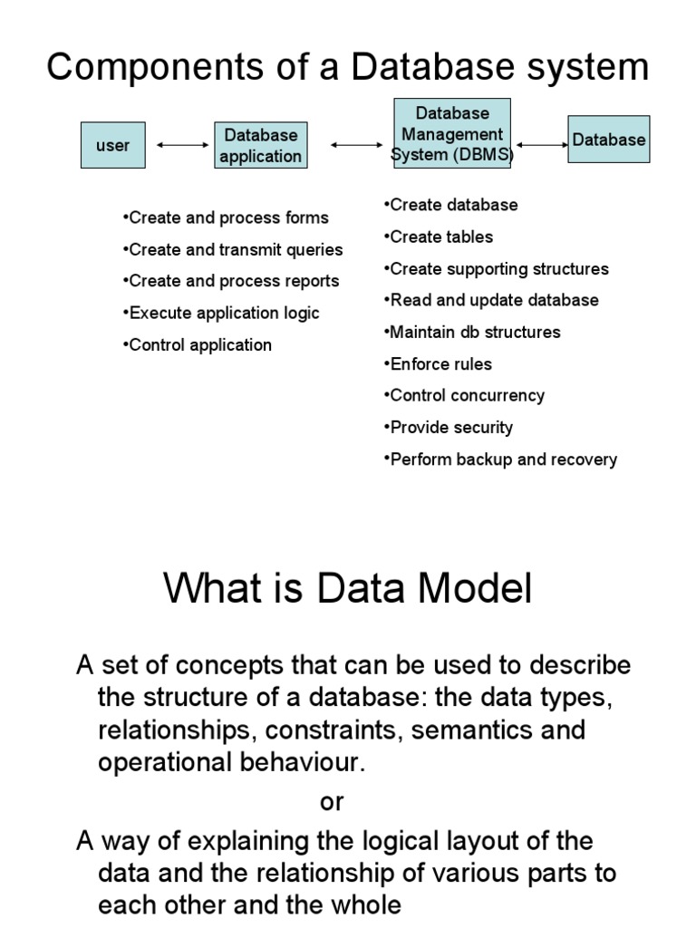 Components of A Database System | Download Free PDF | Relational ...