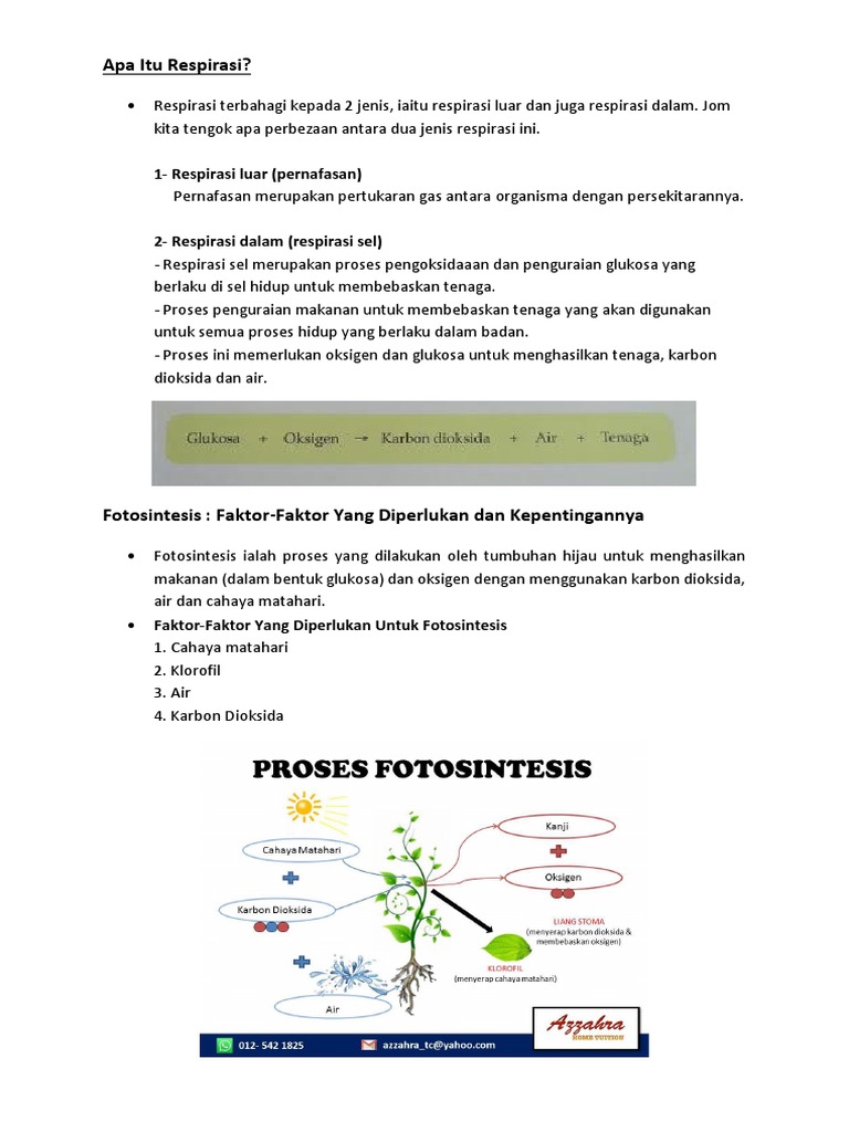 Nota Sains Tingkatan 1 - 02 | PDF