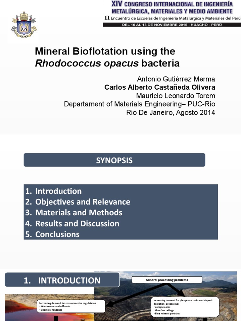Bioflotación Mineral Usando La Bacteria Rhodococcus Opacus | PDF ...